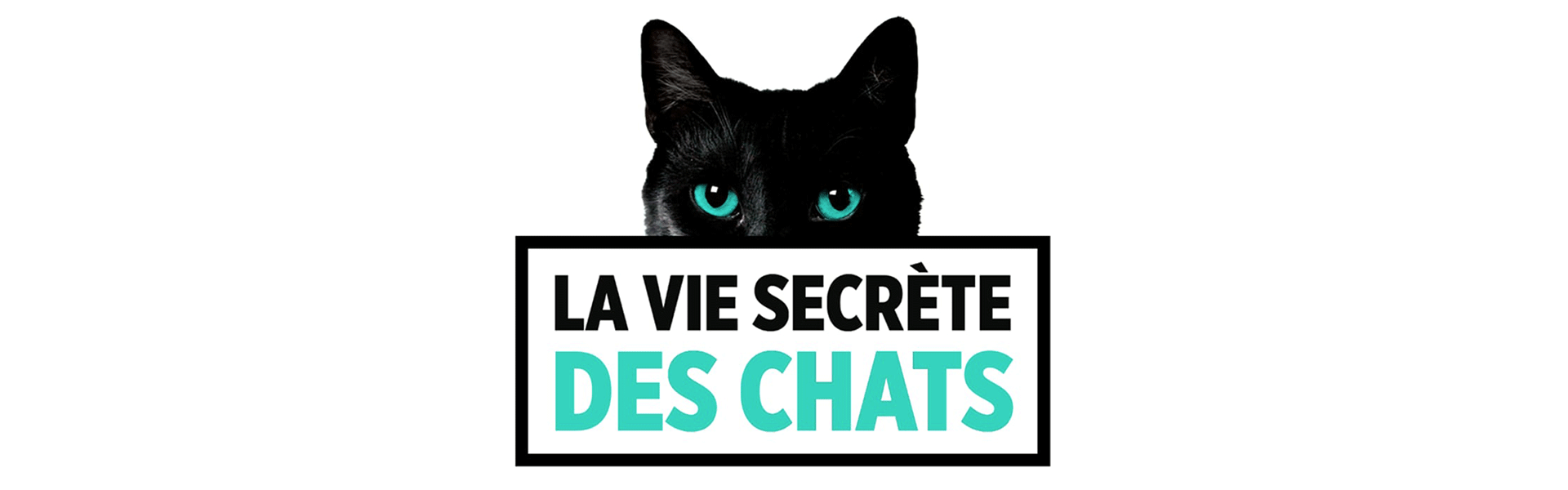La vie secrète des chats - Atlantis Télévision La vie secrète des chats